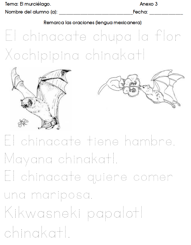 Tutornay: El murciélago