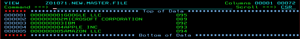 I am a Mainframer: Updating Sequential files using COBOL