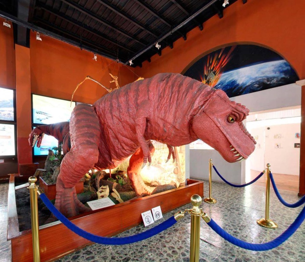 El Museo de Historia Natural de Mérida celebra su aniversario 33