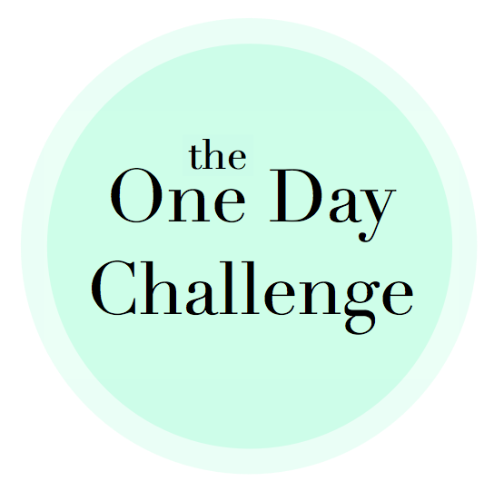BeccaMarie Designs: the One Day Challenge