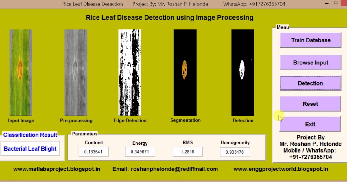 Rice Leaf Disease Detection Using Image Processing Matlab Project With Source Code ~ Matlab