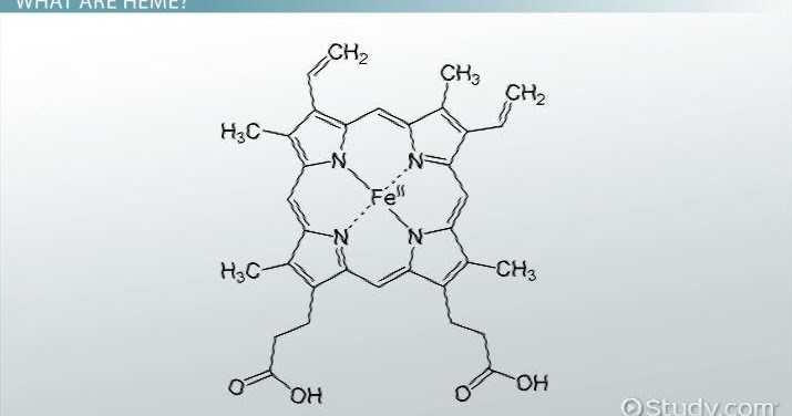 Medical Biochemistry