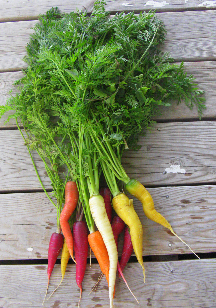 Colorful Carrots | I Gotta Try That...