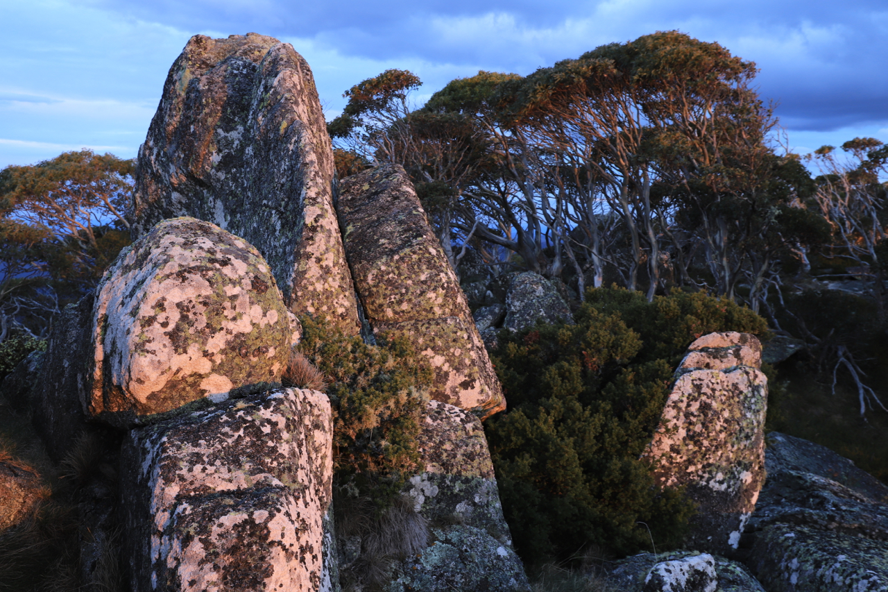 awildland: Mt Gingera, Namadgi National Park, ACT