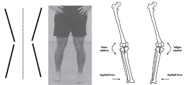 The Running Stan's Blog: Running Biomechanics Primer