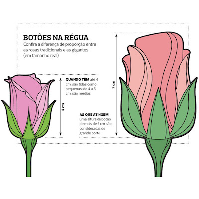 JORGE MACEDO: Dezembro 2011