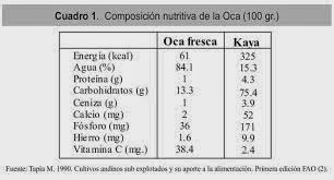 APORTES A LA ALIMENTACIÓN MUNDIAL Y PRODUCTOS ORIGINARIOS: OCA