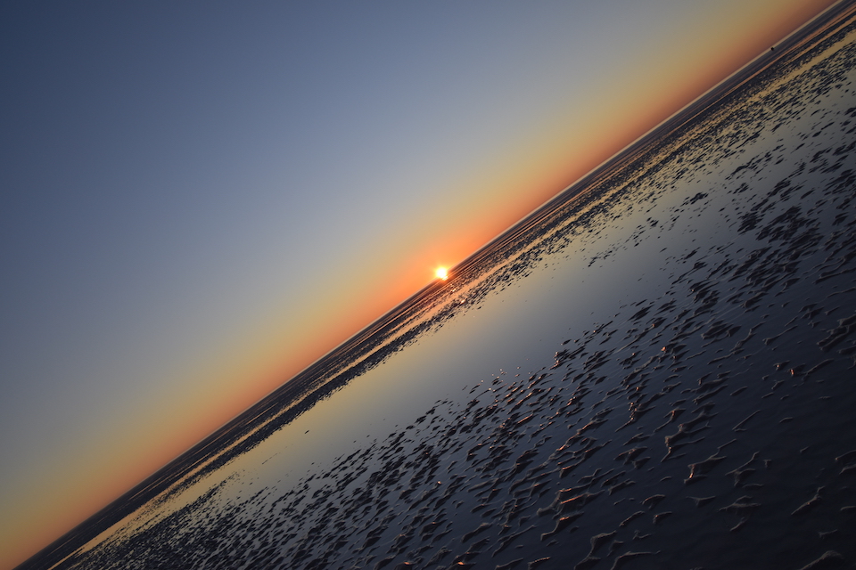 Alan & Lyn's Huge Adventure: July 2020