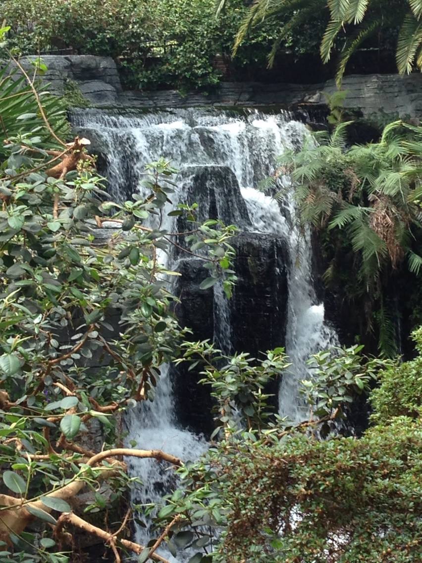 The Strait Line: Waterfall Illusions: Keeping Your Distance 8