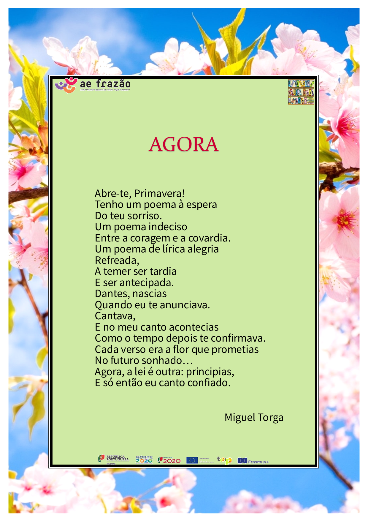Biblioteca Escolar : Primavera...