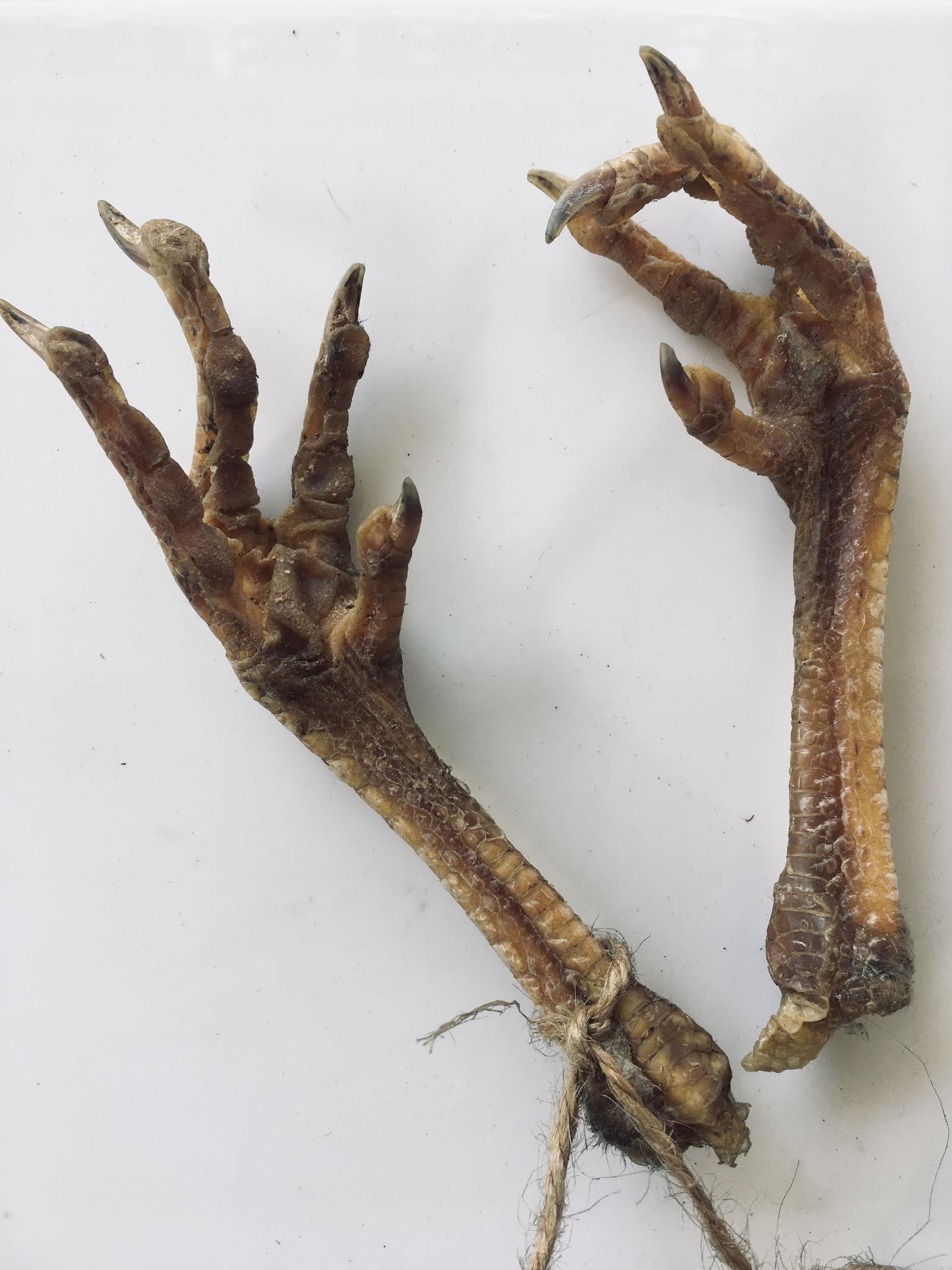 Chicken Feet ~ Filipino Conjure & Rootwork