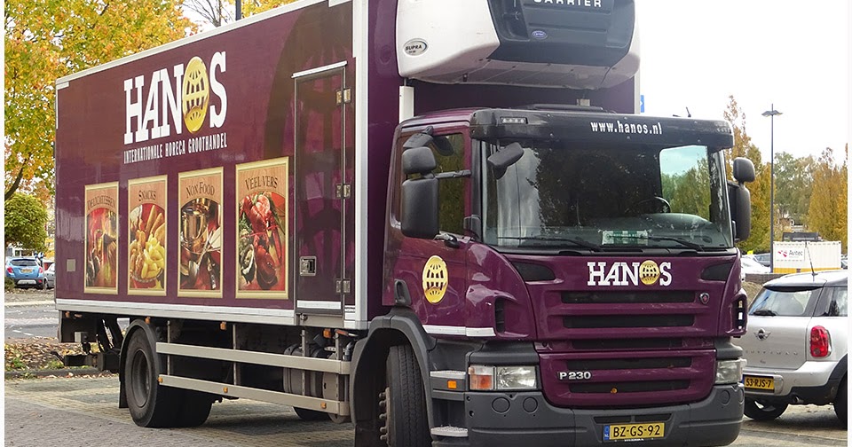 SCANIA: Scania P230 - Hanos