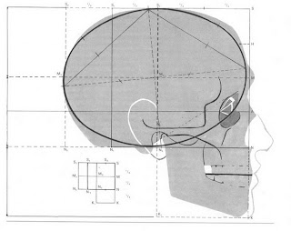 Foundation Figure: Day 16, Skull