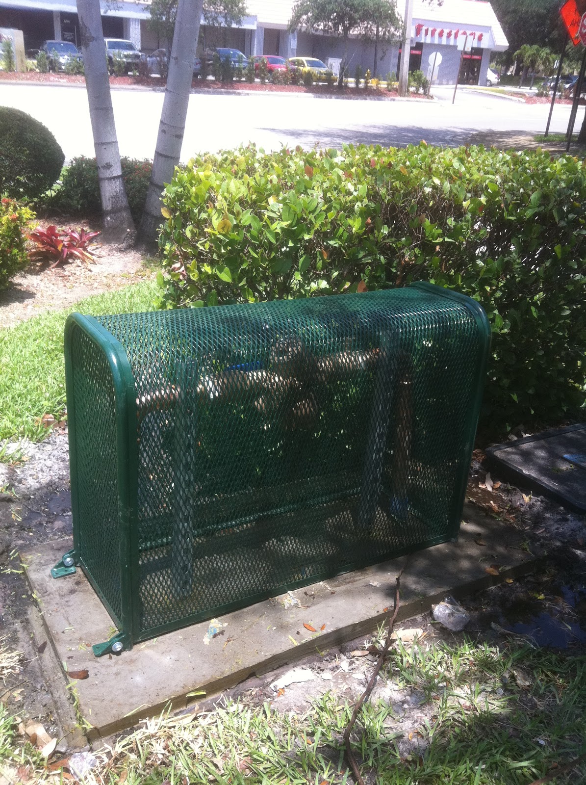 GreenTeam Service Corp: Backflow Preventer Project!