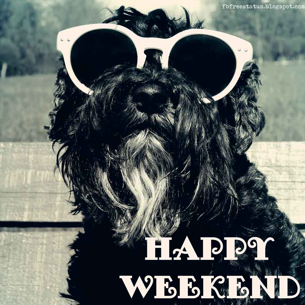 Funny & Happy Weekend Quotes With Images, Pictures