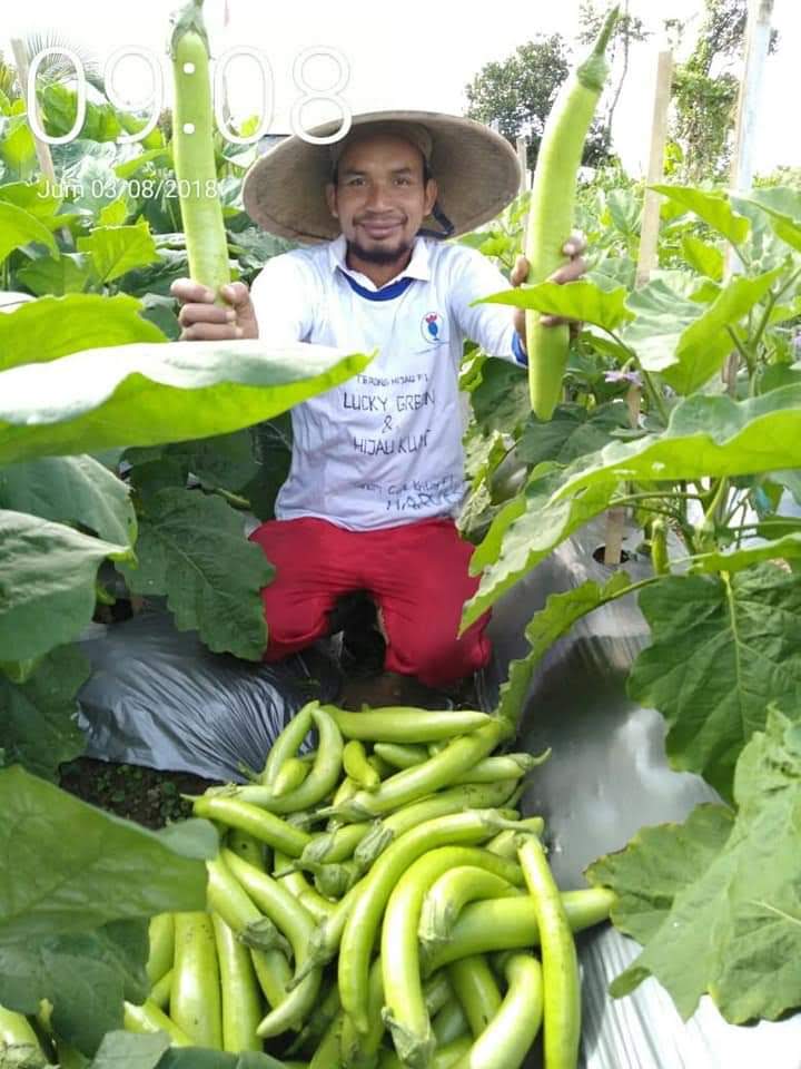 Toko Pertanian Terdekat | Lmga Agro: Profesi Menjadi Seorang Petani ...