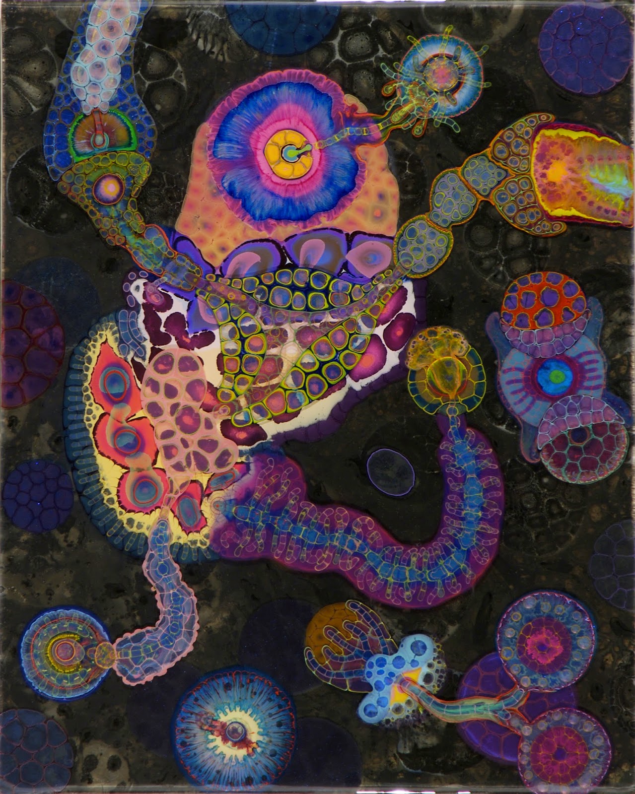 Bruce Riley | CURIOSITE