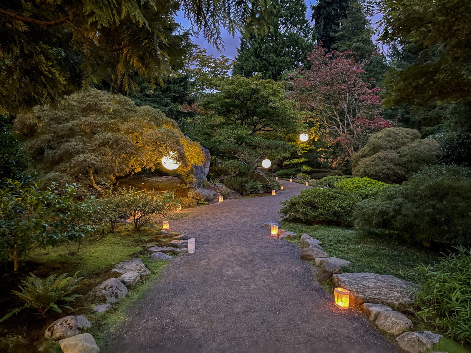 Seattle Japanese Garden Community Blog