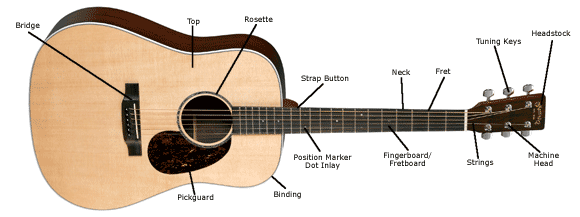 Acoustic Guitar Buying Guide: The anatomy of an acoustic guitar