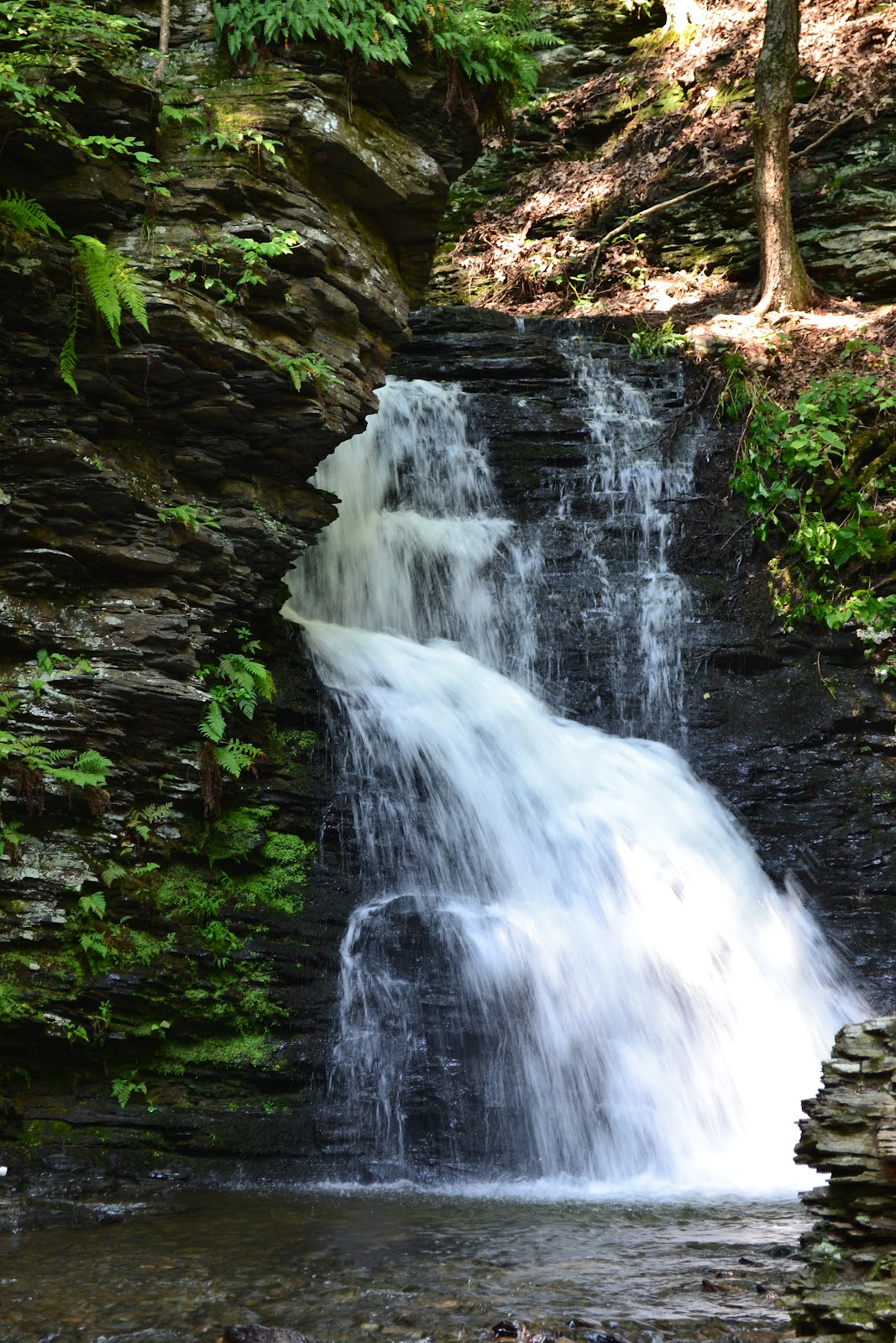 Nanda & Nathan The Travellers: Bushkill Falls -- The Niagara of ...