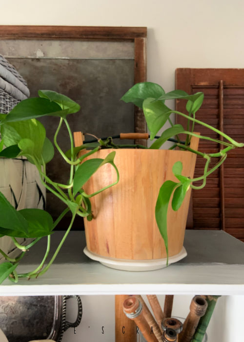 She's Crafty: Unique House Plant Containers from the Thrift Store