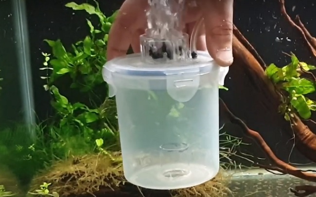 DIY Aquarium Filter To Clean Fish Waste
