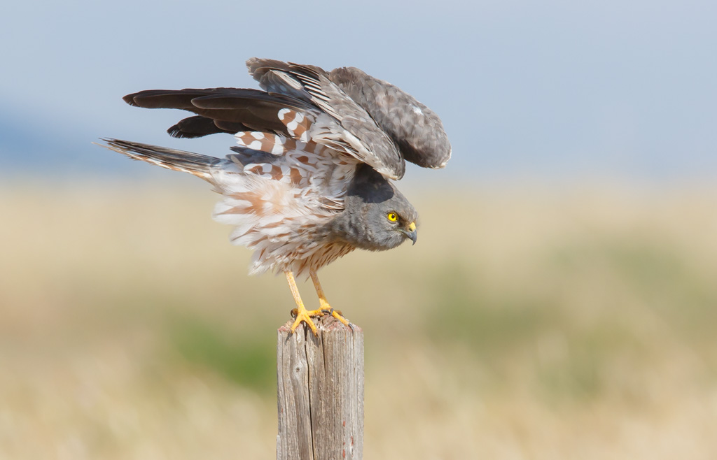 Nikos Fokas Photopraphy Blog