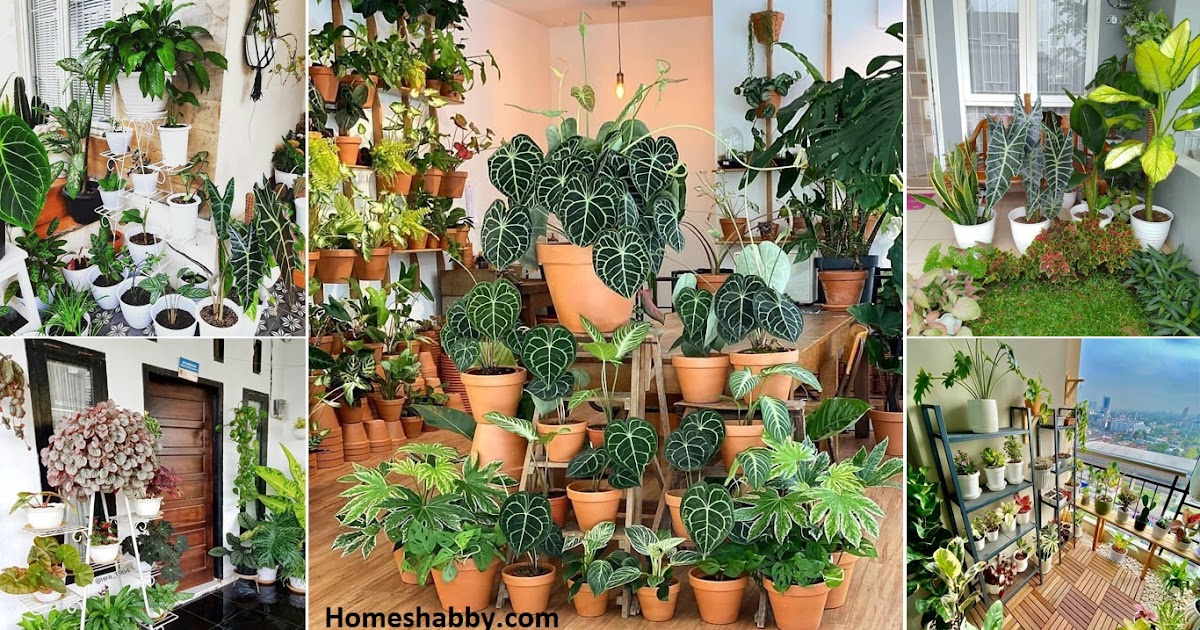 7 Ide Menata Taman Kecil Dengan Pot Yang Cantik, Solusi Lahan Sempit ...