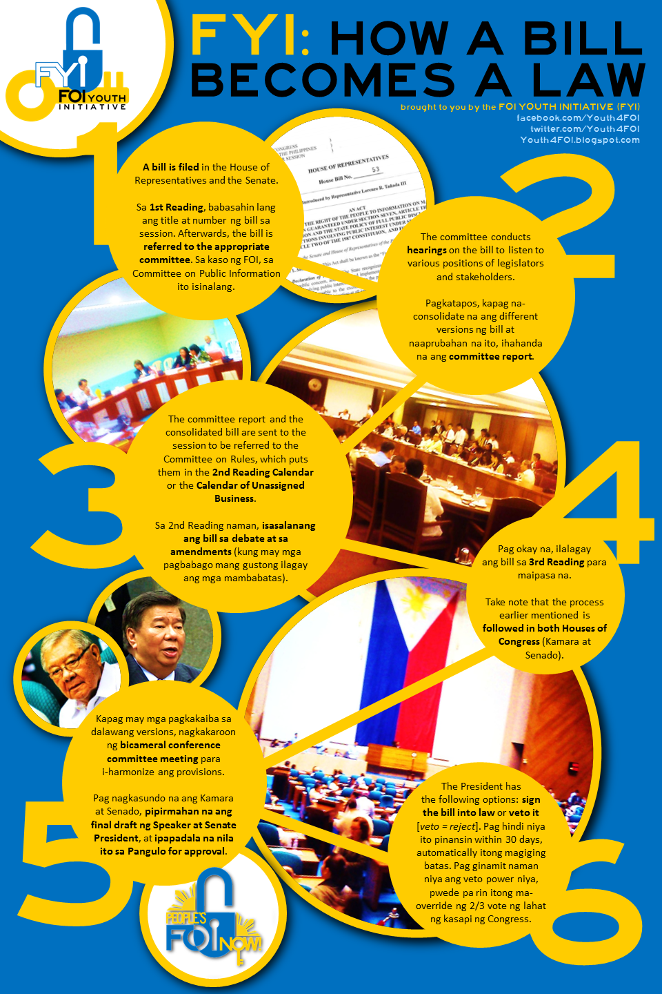 FOI Youth Initiative (FYI): For Your Information: How a Bill Becomes a Law