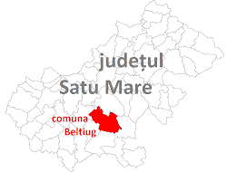 Biblioteca comunală Beltiug