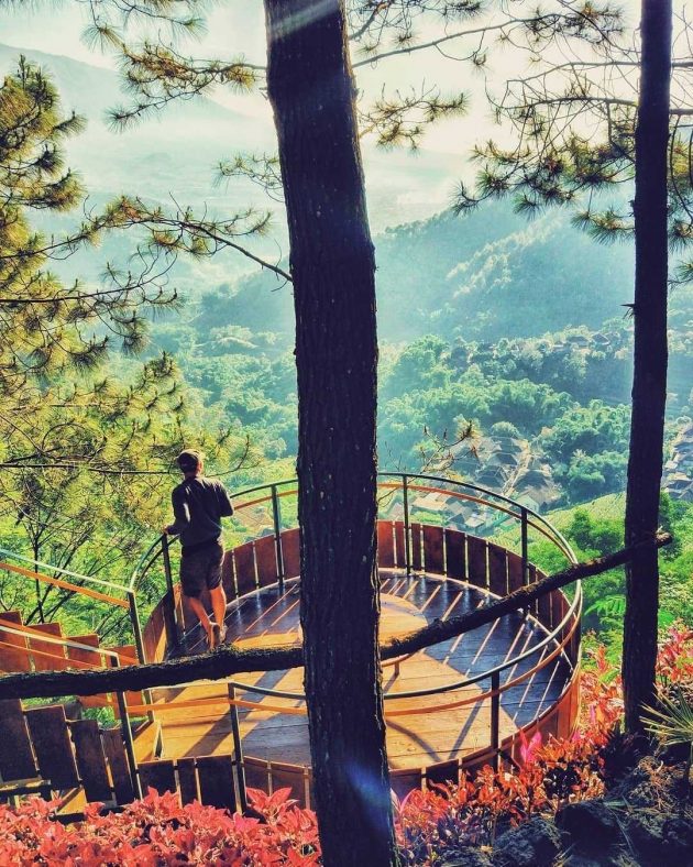 Spot Foto Instagramable Di Goa Pinus