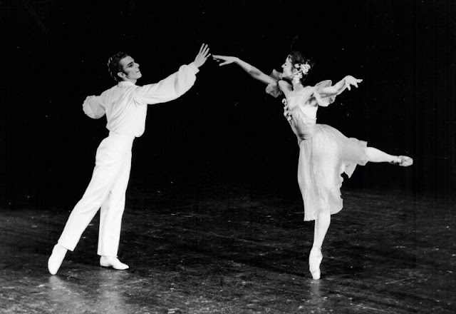 Dutch National Ballet: 47 Pictures That Capture Performing Dancers in ...