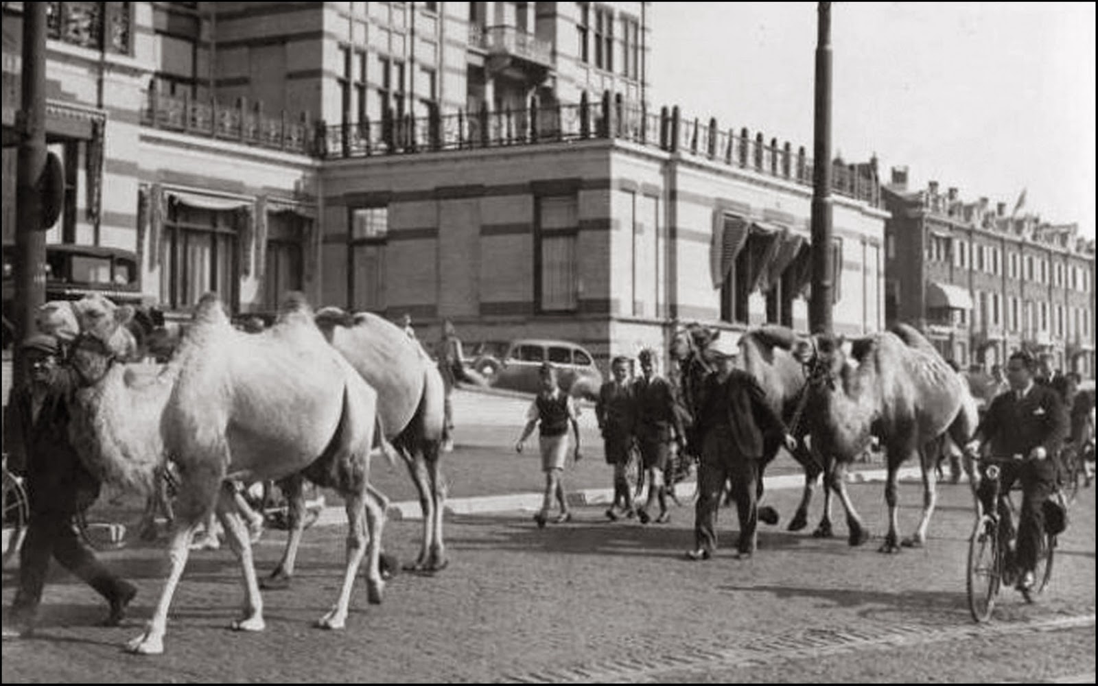 Buckles Blog: STRASSBURGER #3