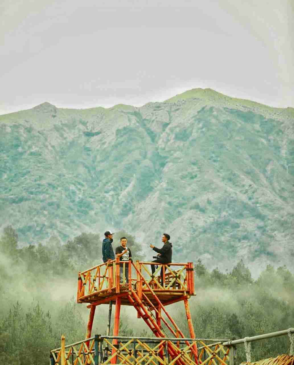 Hutan Pinus Kragilan Magelang: Lokasi, Rute, dan Harga Tiket 2021 ... Hutan Pinus Kragilan Magelang: Lokasi, Rute, dan Harga Tiket 2021 ...