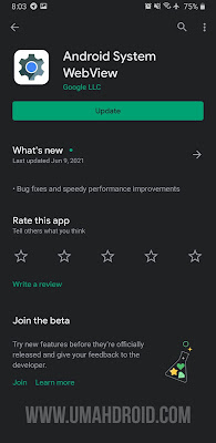 Fungsi Android System WebView Dalam Sebuah Ponsel Kekinian - Umahdroid