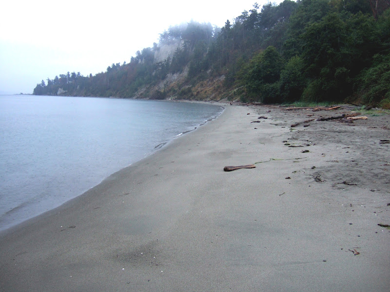 Reading the Washington Landscape: February 2012