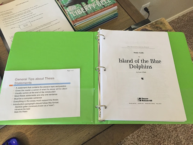 Brandi Raae: Island of the Blue Dolphins Study Guide {FREE}