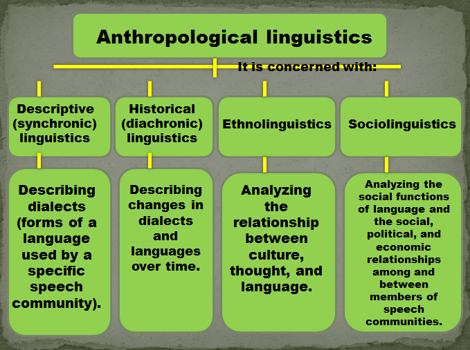 LINGUISTIC THEORY II COURSE: 2011