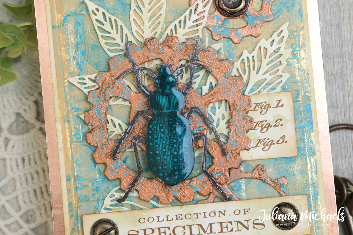 Salvaged Patina Distress Ink | Collection of Specimens Card - 17turtles ...