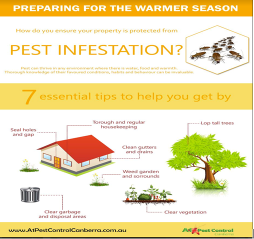SEO Service Company: 5 EASY Proven Tips to Keep PESTS Out Of Your Home ...