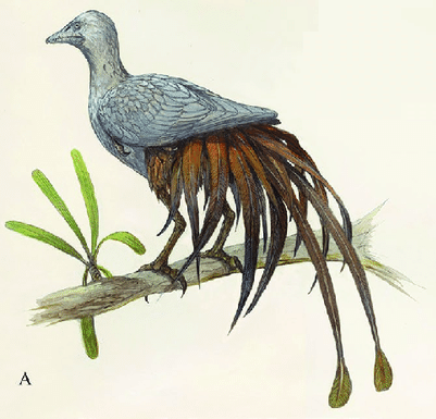 Species New to Science: [PaleoOrnithology • 2015] Feitianius paradisi ...