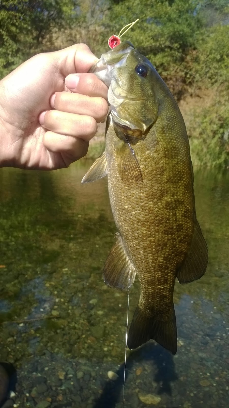 How Do I Fish This: Big Chico Creek – Keep Calm and Fly Fish