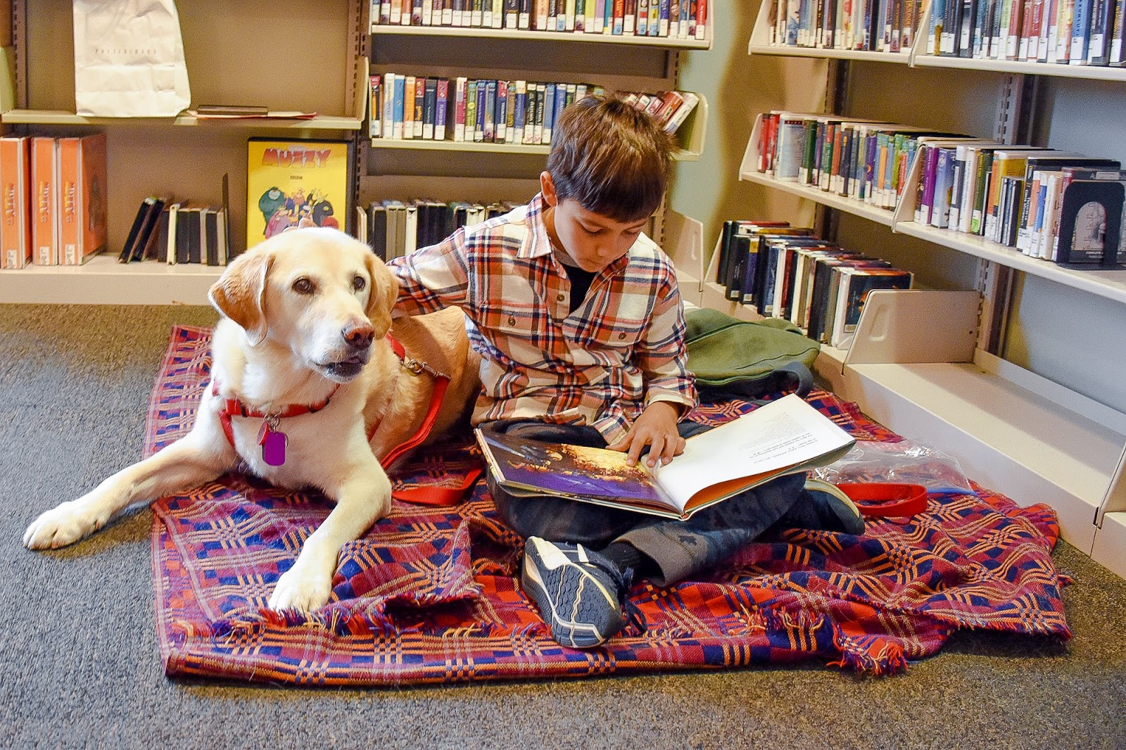 Library Use Dogs to Help Kids Overcome Reading Problem - Doglopedix