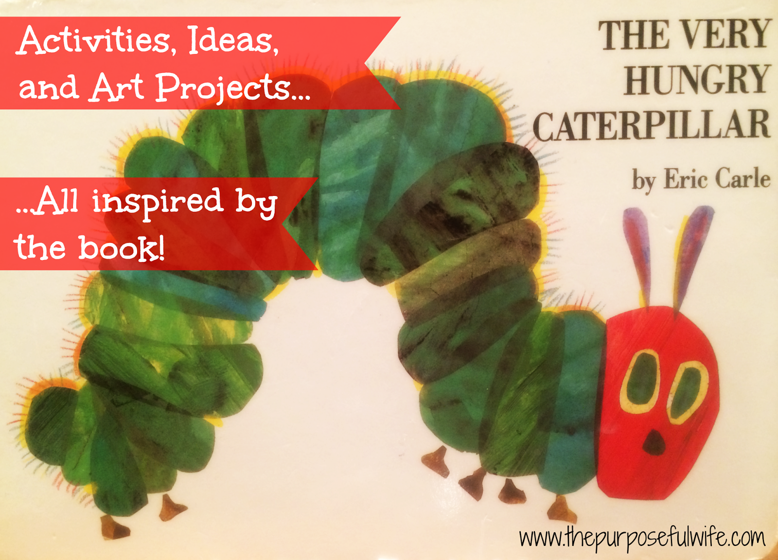 The Very Hungry Caterpillar Book Cover