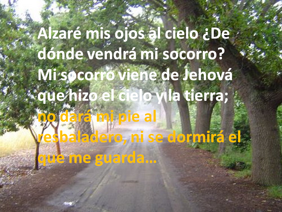 Las Imagenes Mas Sorprendentes de la Red: Alzare mis ojos al cielo ¿De ...