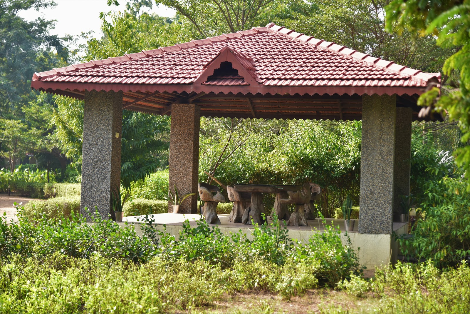 Why A Visit To Nimba Nature Cure Village Will Restore The Natural ...