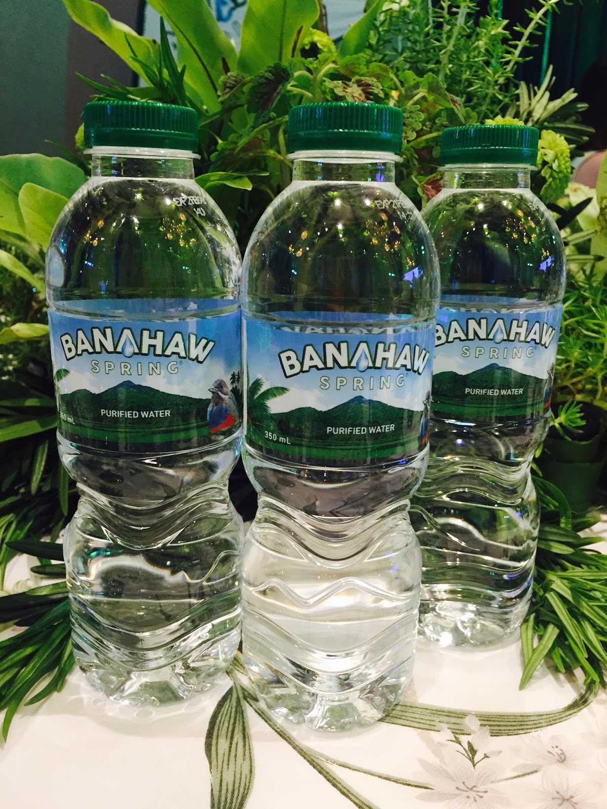 Philippine Bottling Beverage Introduces Banahaw Spring Purified Water ...