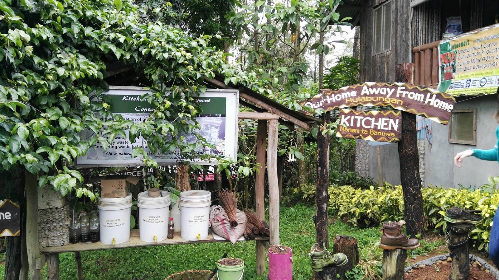 Lemon GreenTea: Home to Mt. Binahon Agro Forest Farm in Bukidnon