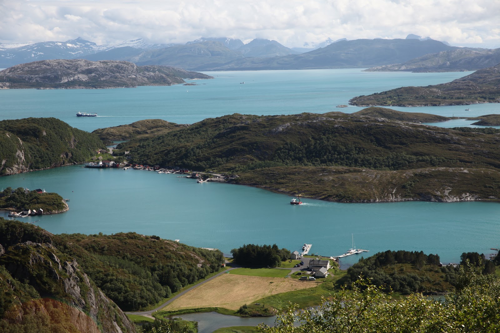Svalbardliv: Rause Rødøy