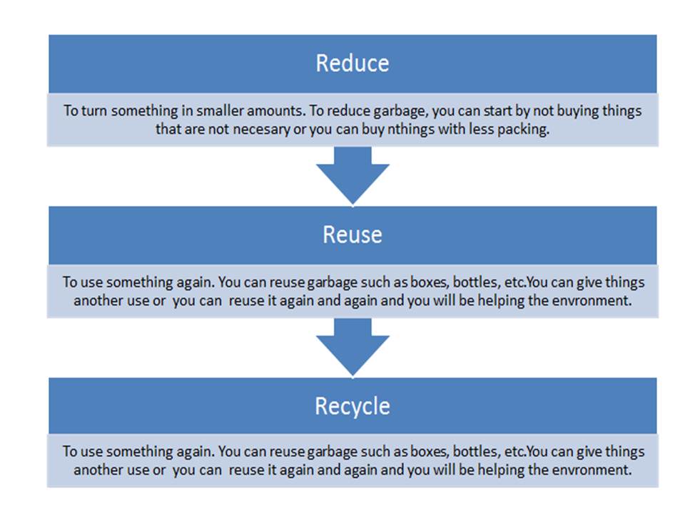 Ecology Campaign Project: Ecology Campaign and the 3 Rs